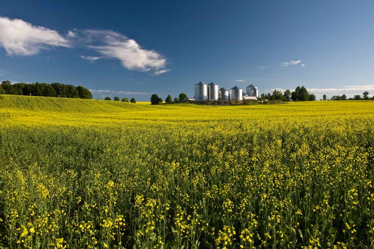 IRCC now accepting community applications for two new pilot programs | CIC News