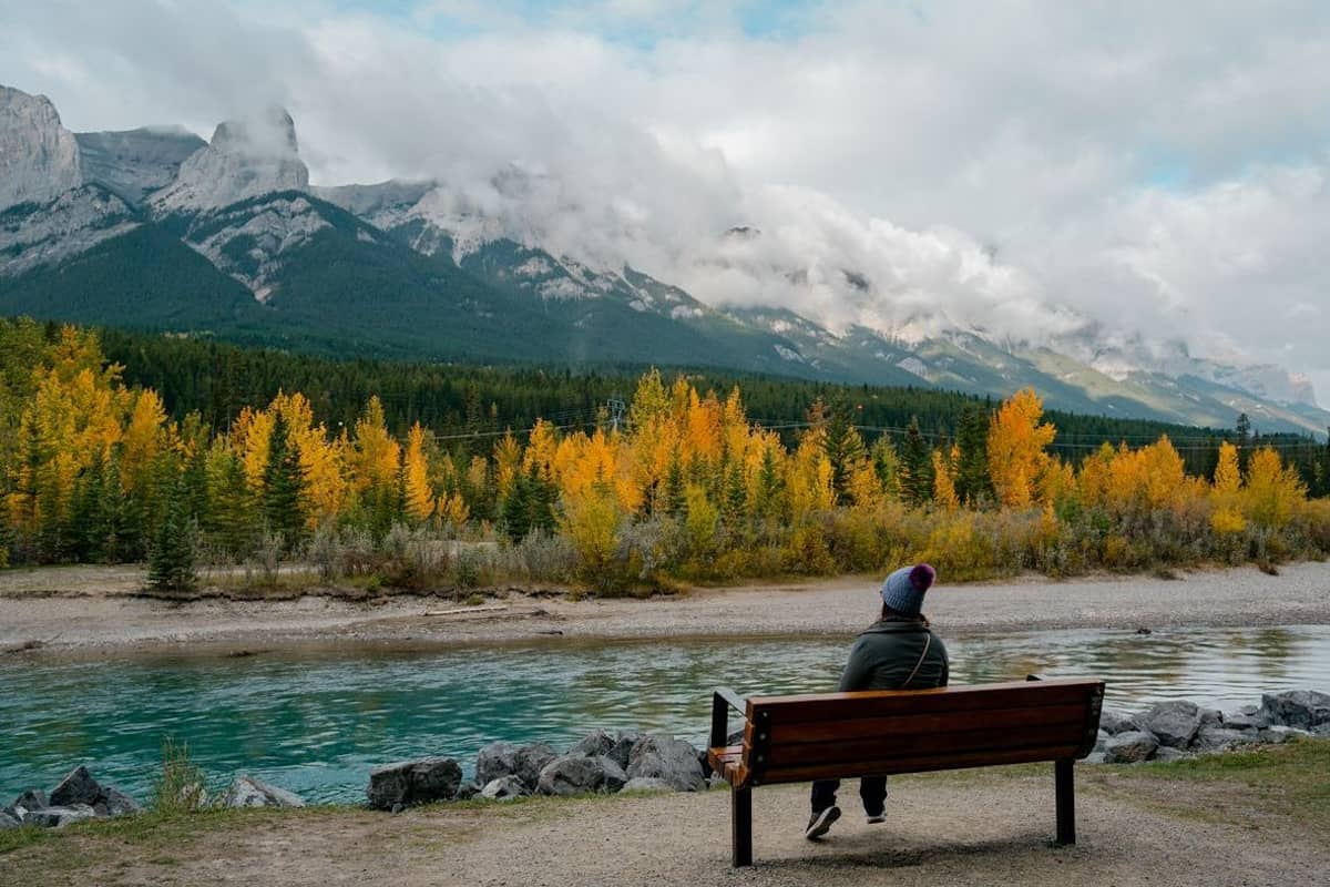 Alberta conducts five provincial immigration draws, invites candidates ...