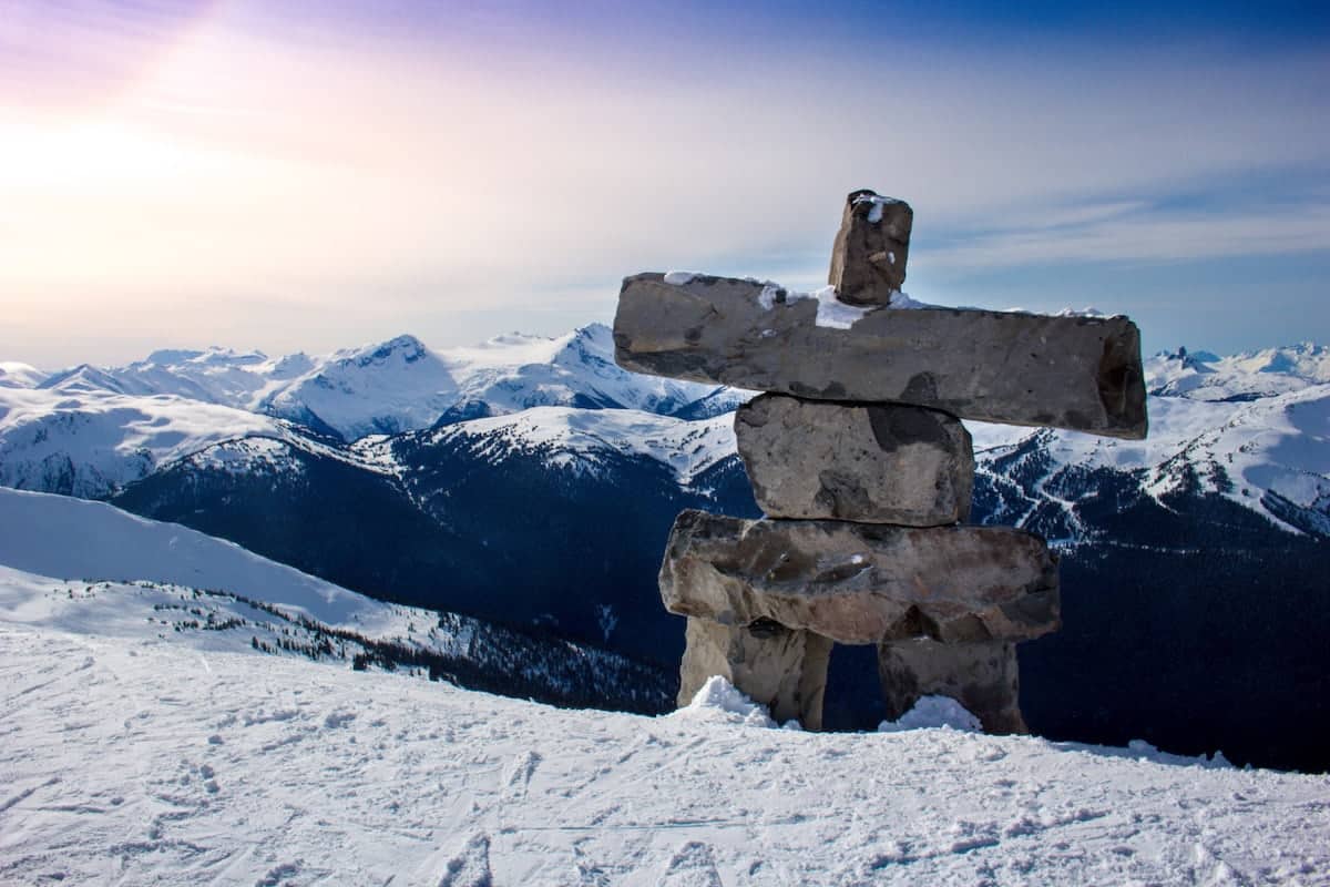 Tigresa videos novos