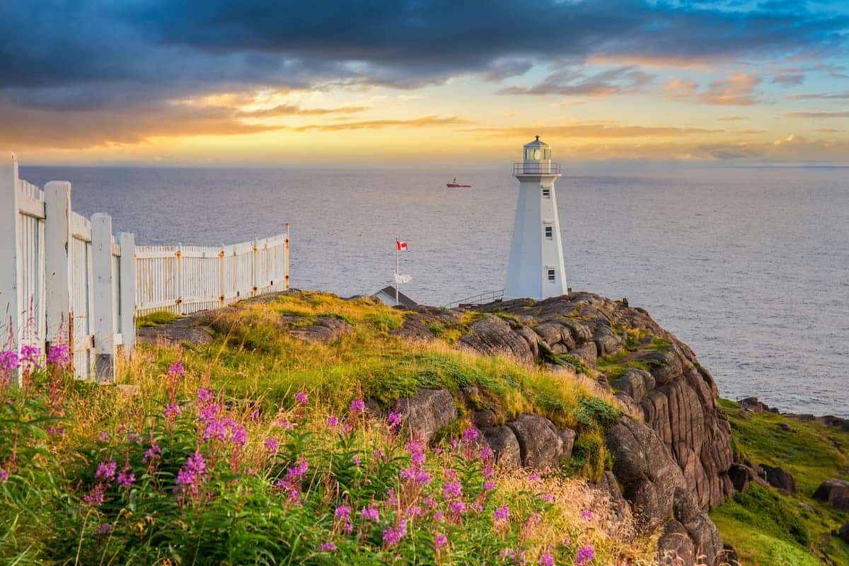Newfoundland and Labrador’s first draw of 2026 marks highest number of ...